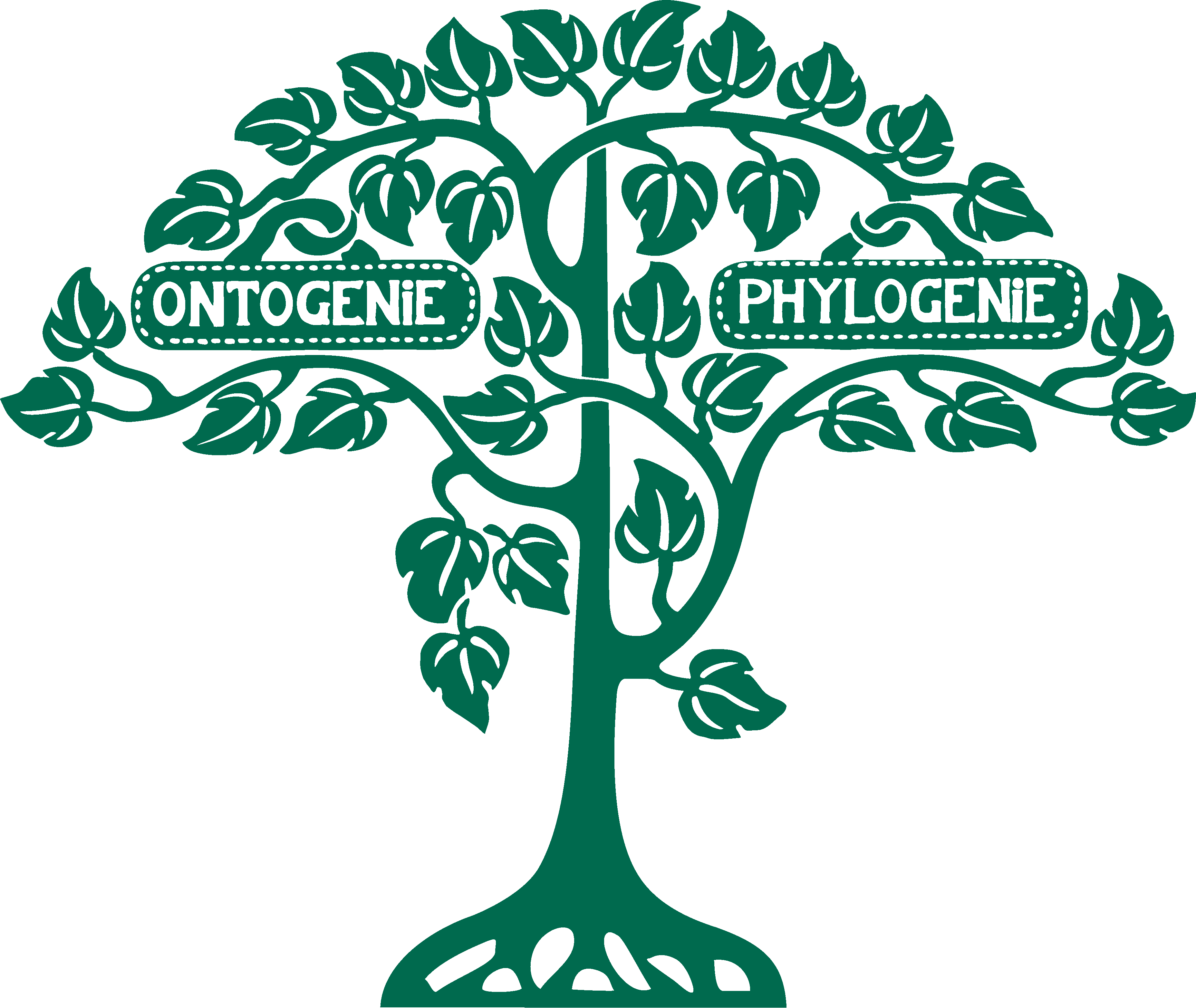 Et latet et lucet: Discoveries from the Phyletisches Museum amber and ...